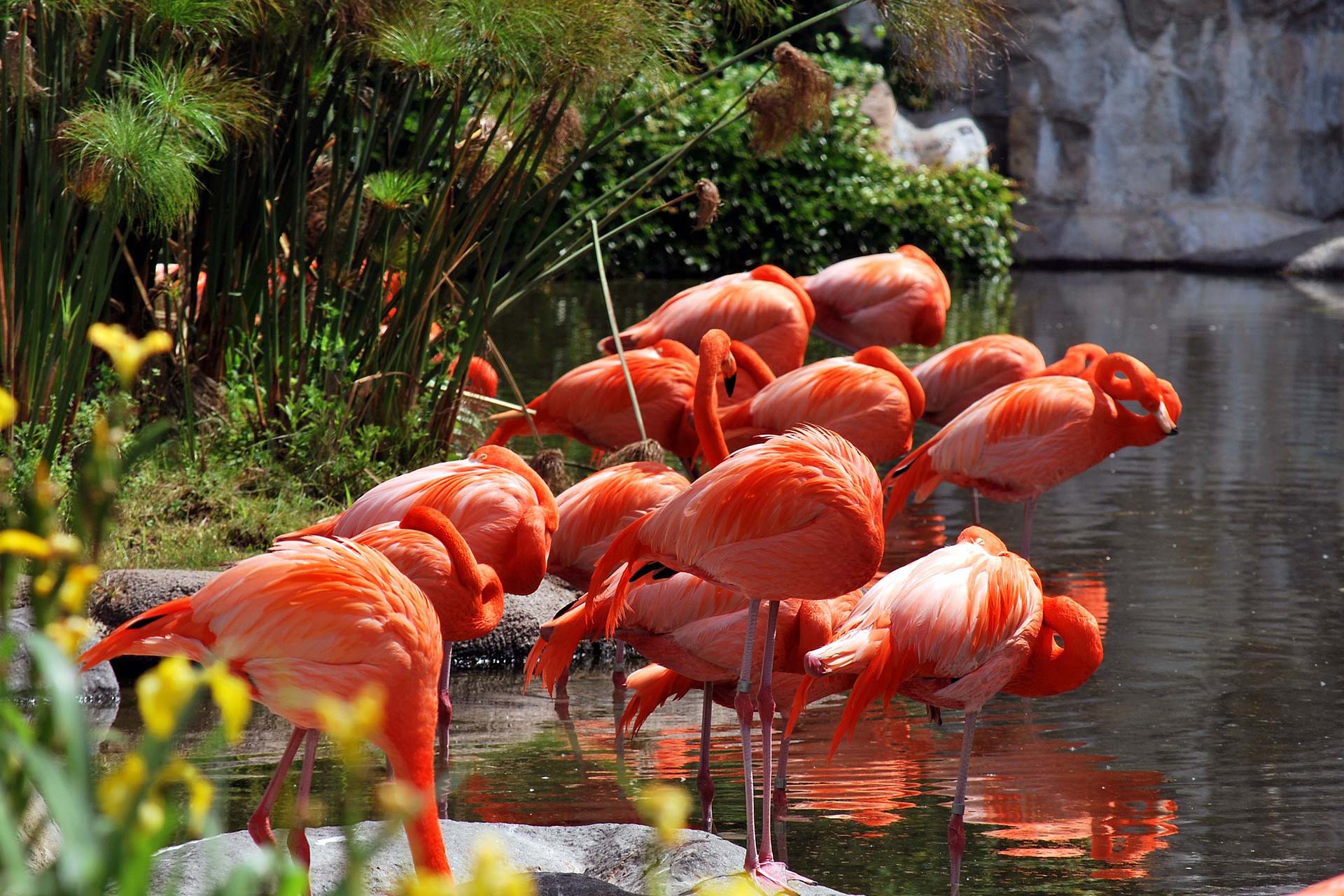 Temaikén Szafari Park: Bio Állatkert és Ökopark